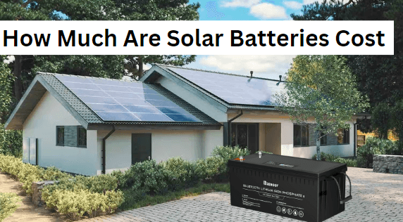 Solar Battery Cost: Are they worth it? | Renogy US