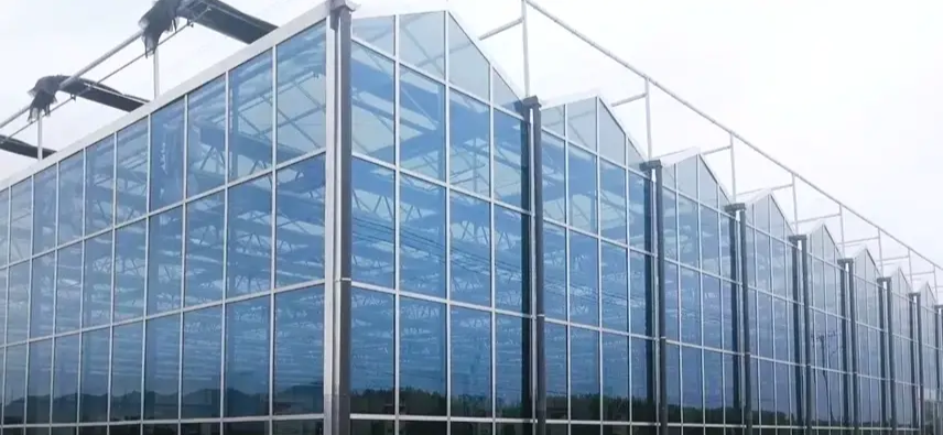 Invisible Power: How Transparent Solar Panels Are Revolutionizing Green ...