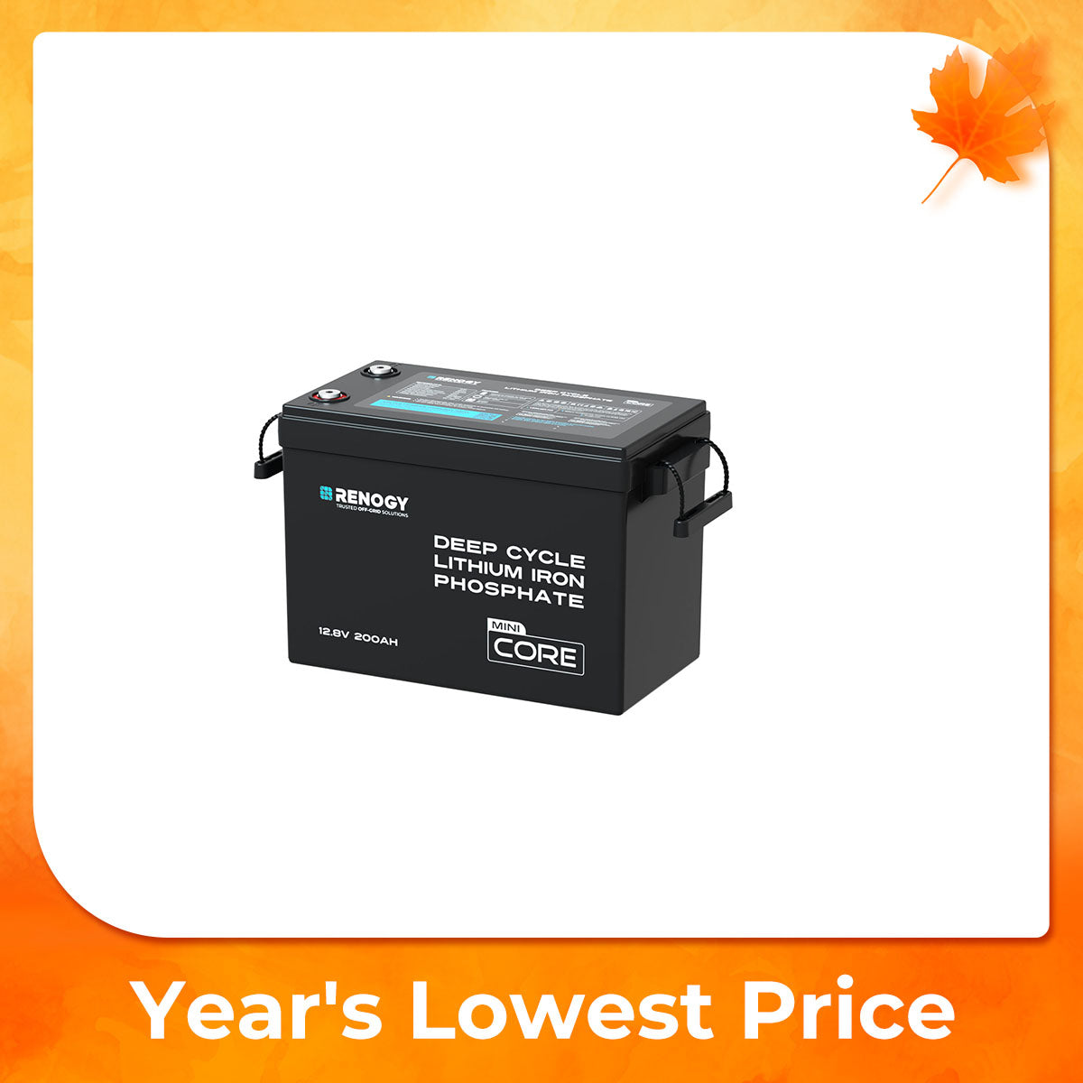Core - 12V 200Ah LiFePO4 Battery w/ Low-Temperature Protection | Renogy US
