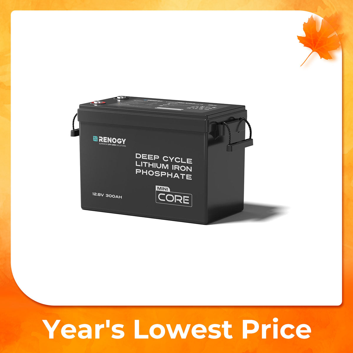 Core - 12V 300Ah LiFePO4 Battery w/ Low-Temperature Protection | Renogy US